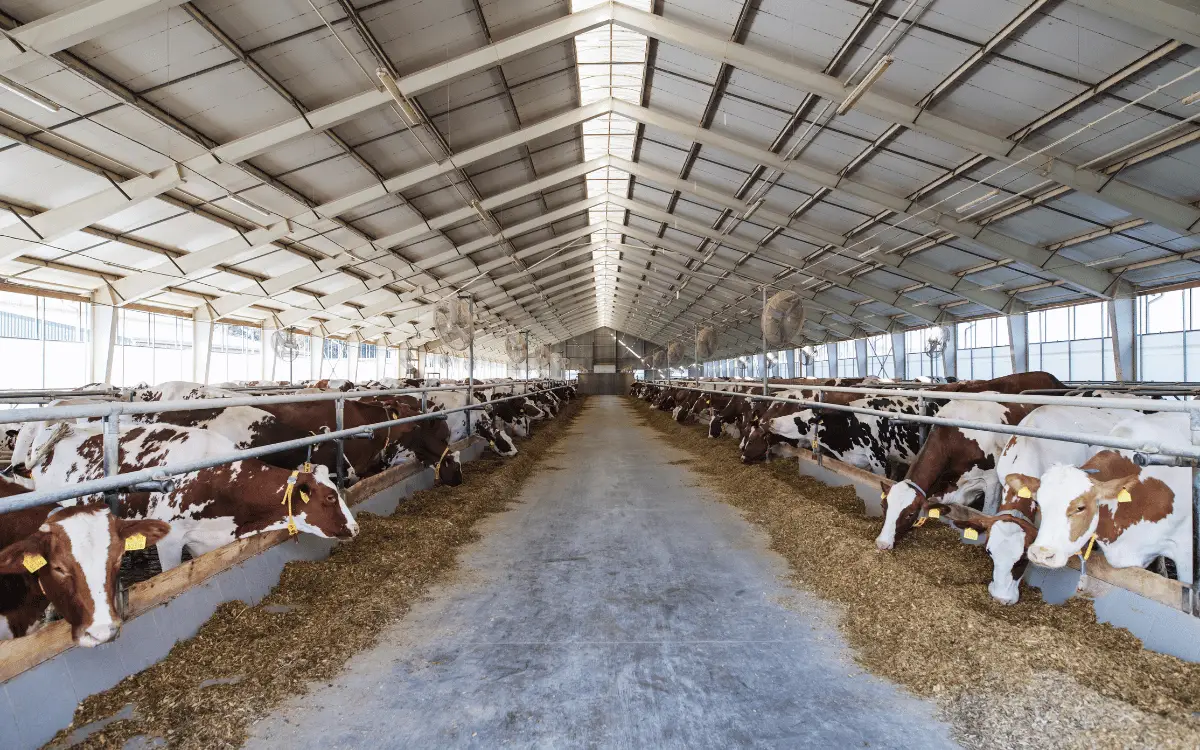 Quality Systems Enhancement | CDFA Proposition 12 - Farm Animal Confinement